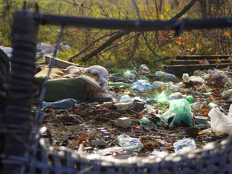 Human Decomposition Pictures